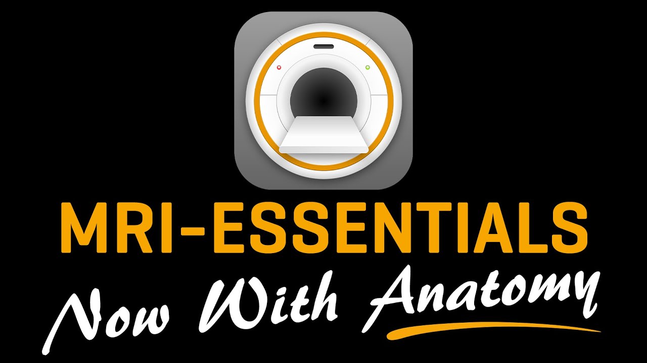 MRI-ESSENTIALS Anatomy - YouTube