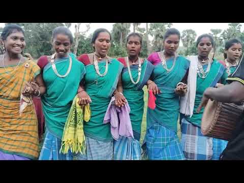 Bidan bidan gigo become ror ret don enec video 2026