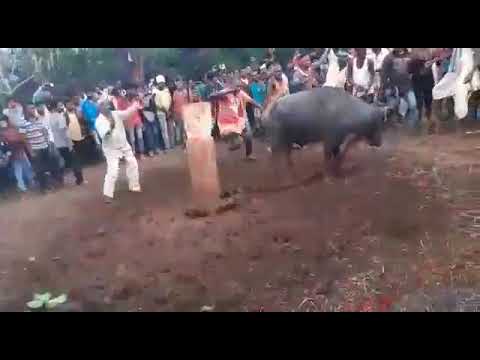 08/03/2020 dedimaha puda puja - YouTube