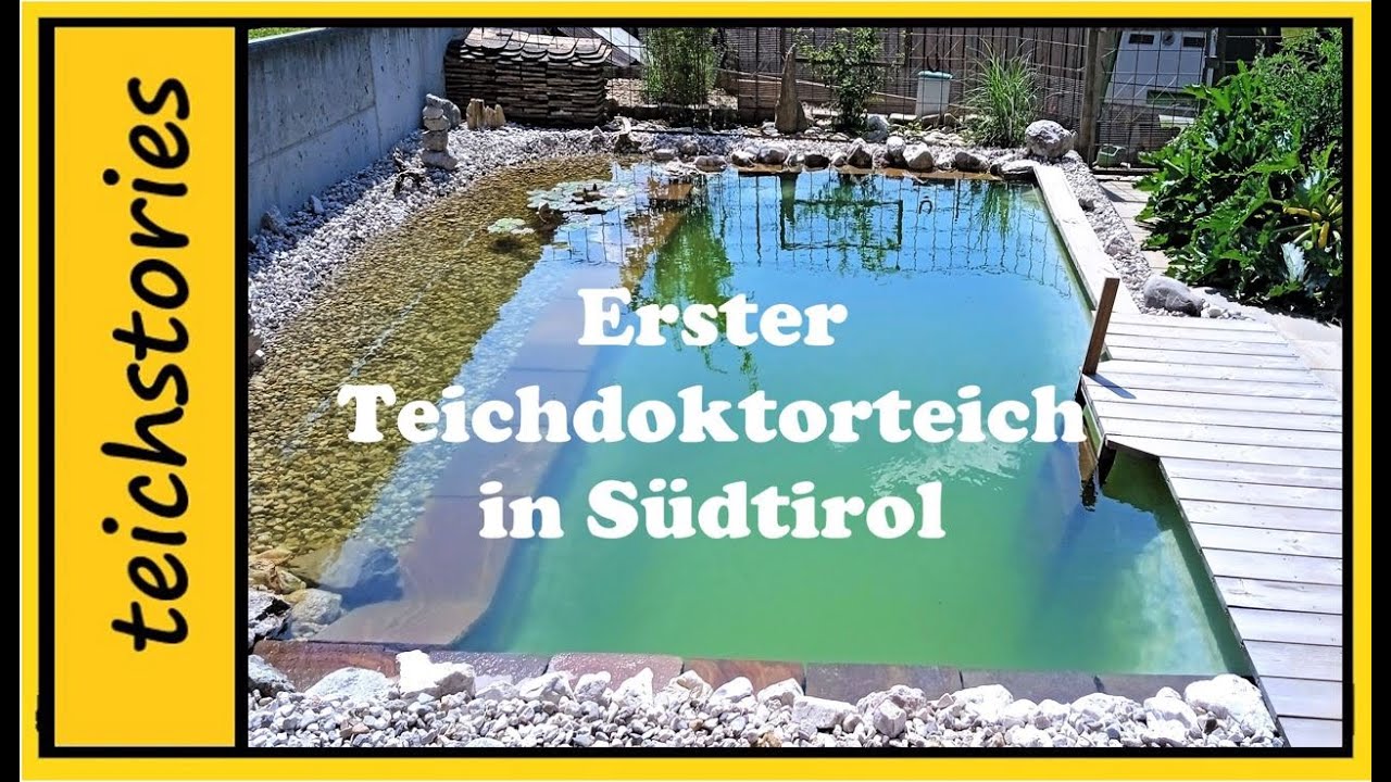Teichdoktorteich auf 1200 Meter Seehöhe - YouTube