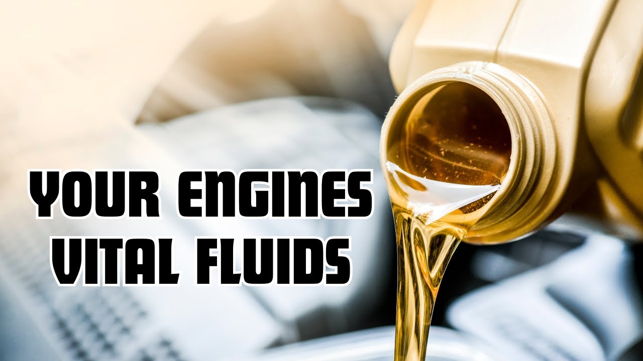 Your Car’s Vital Fluids: What They Are and Why They Matter - YouTube