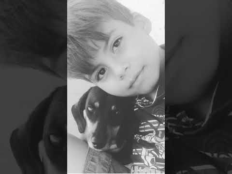 15 de janeiro de 2026