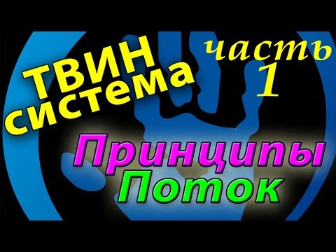 ТВИН система Принципы Поток Токмаков часть 1