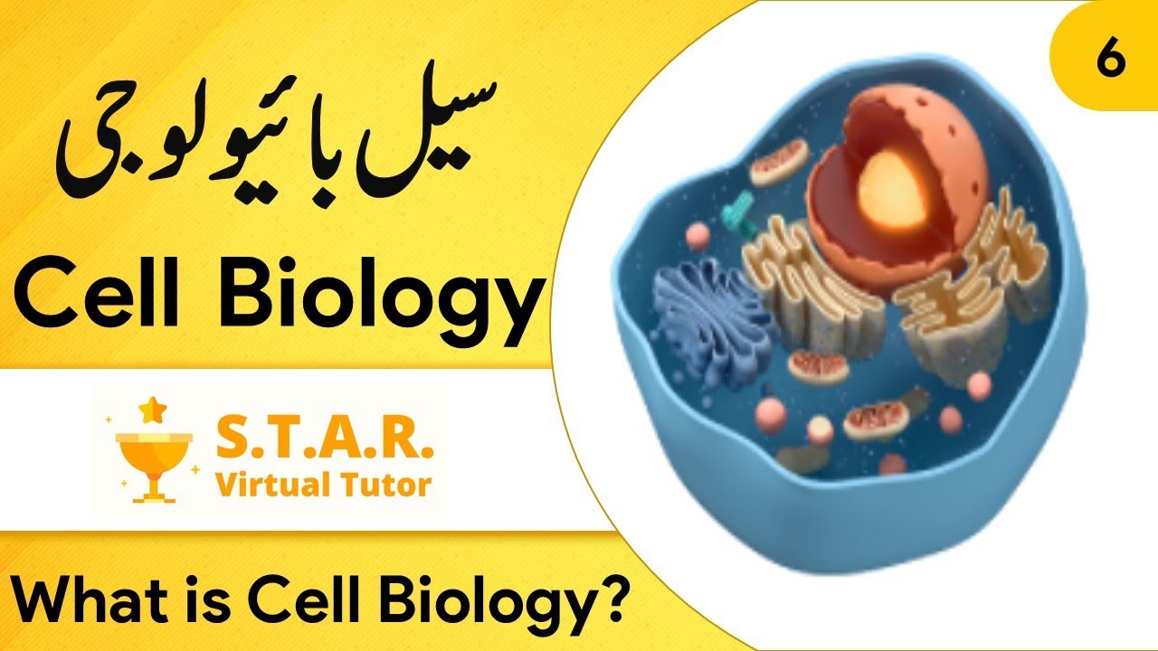 What is Cell Biology | Introduction to Cell Biology | Branches of ...