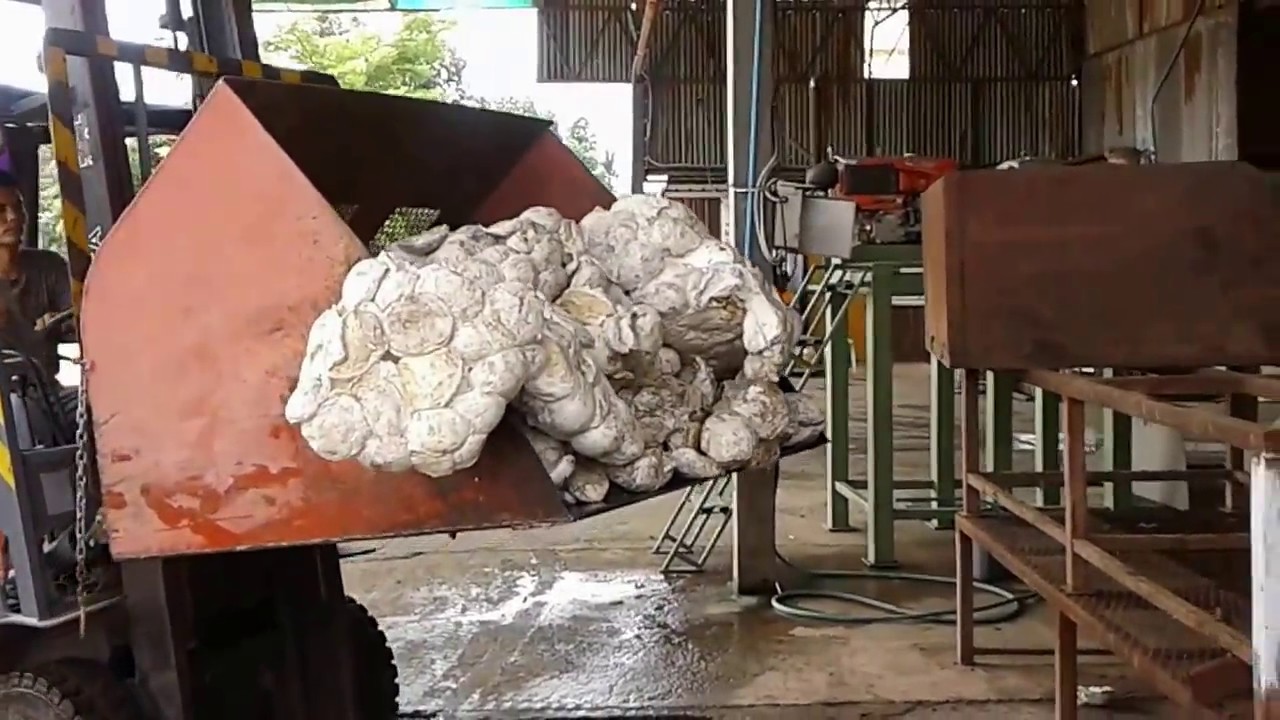 Crepe rubber process 1 - YouTube