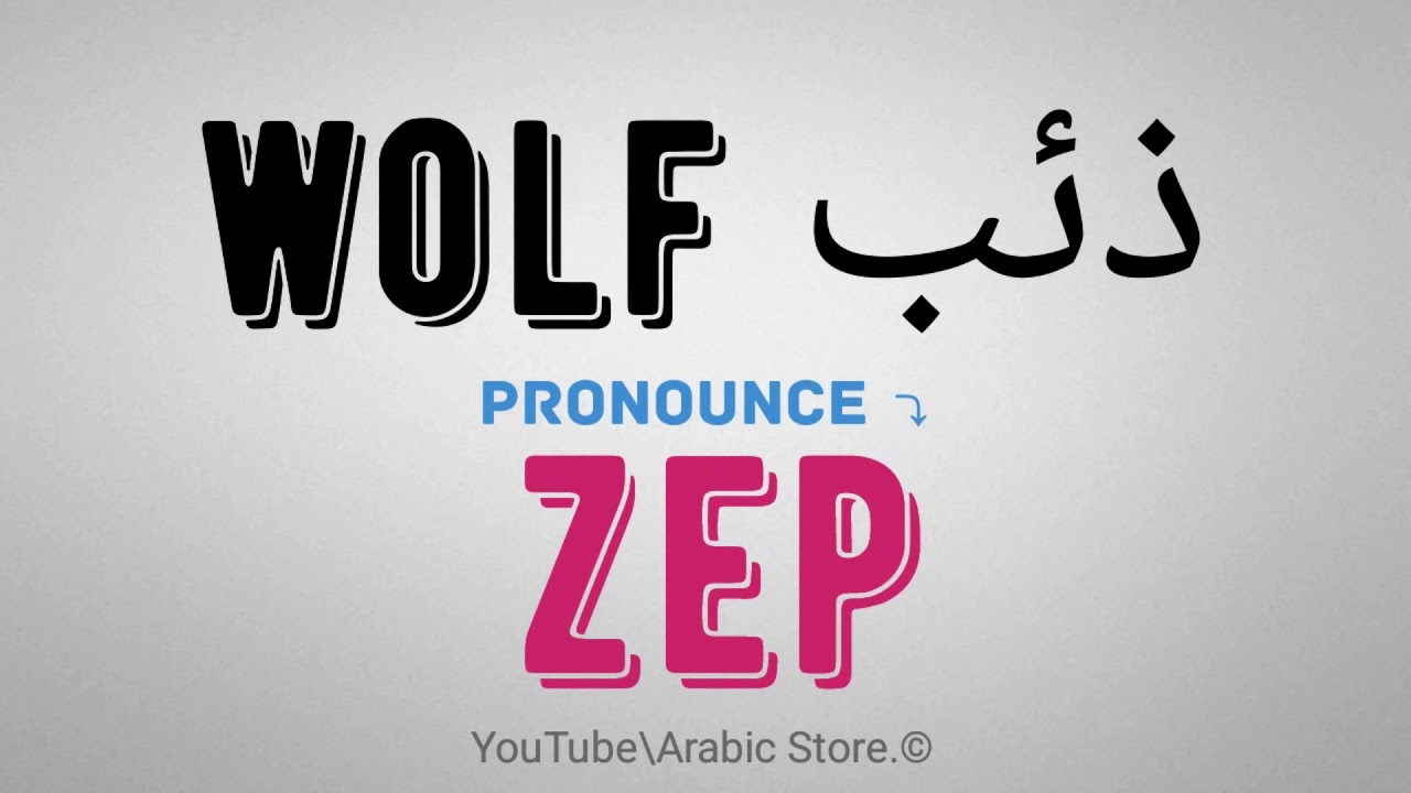 How to say ☛(Wolf) in Arabic - YouTube