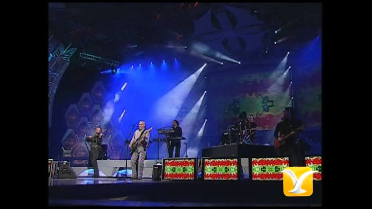 The Orchestra, Confusion, Festival de Viña 2005 - YouTube