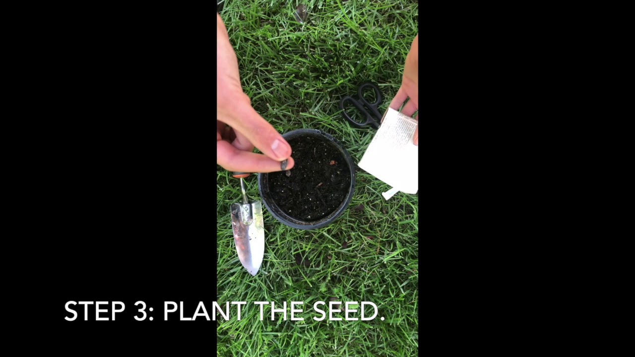 APES Runoff PSA 2018 - YouTube