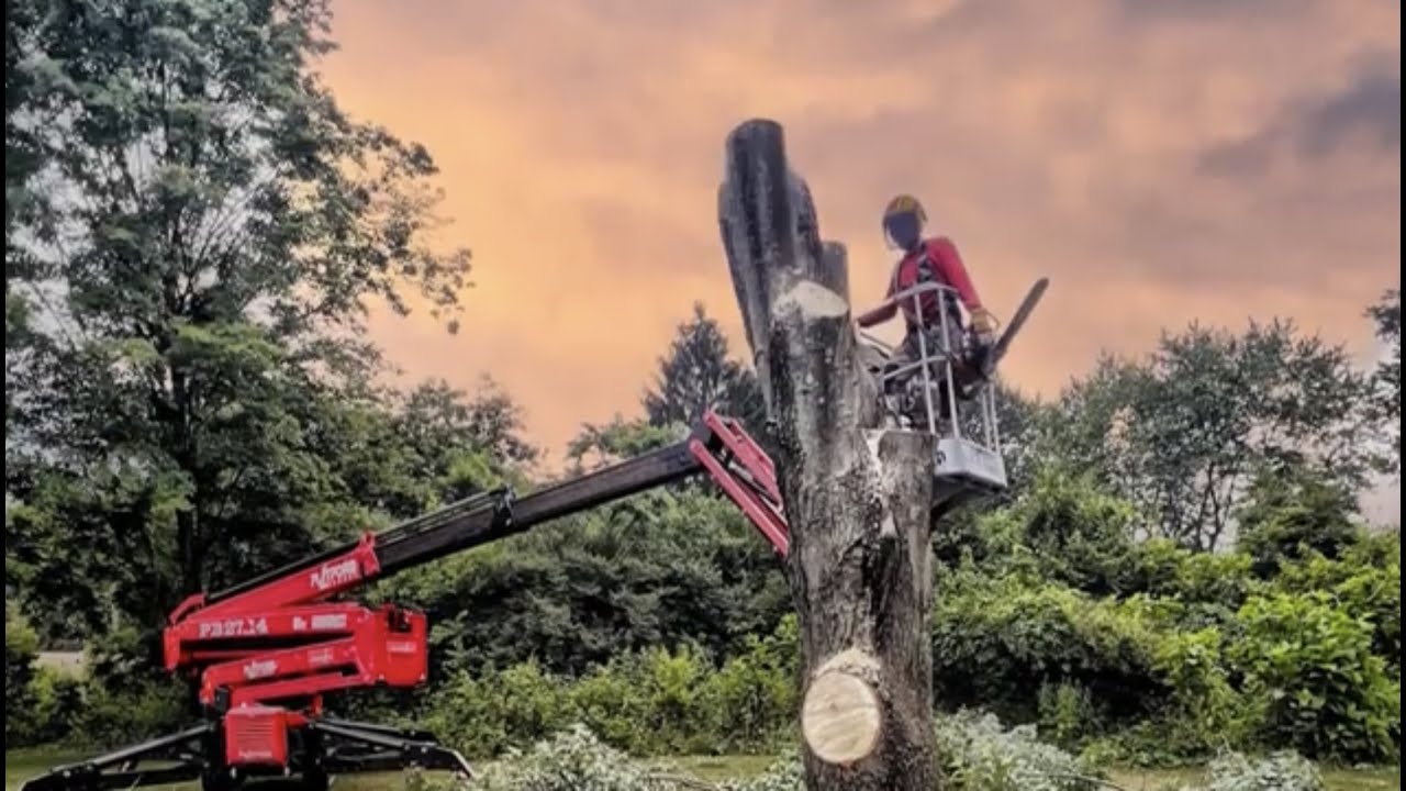 Stumpy's Tree Service (Canton, OH) Promo video 2023 "Born in the USA" by Bruce Springsteen - YouTube