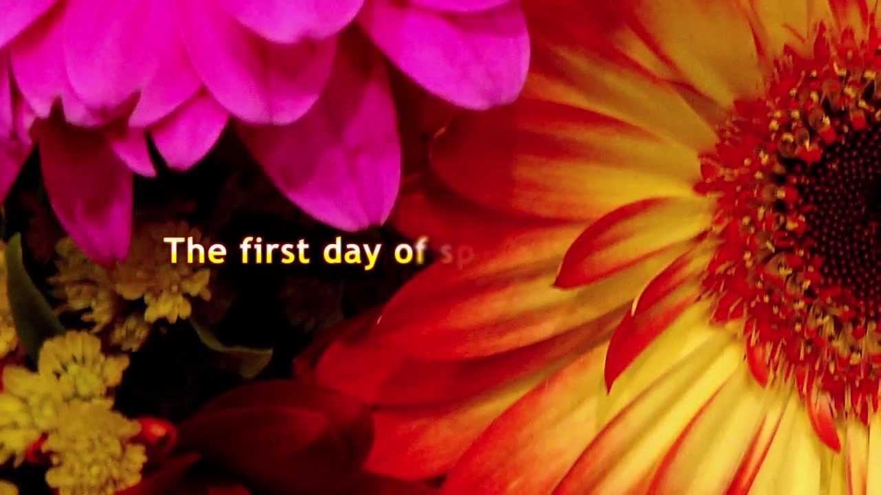 SPRING IS COMING! - 15 sec of happiness! - #ESL #POETRY #PHILOSOPHY ...