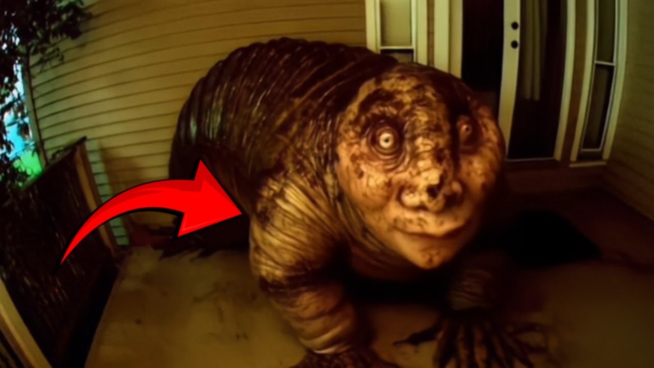 SCARY Cryptid Videos That ARENT Real - YouTube