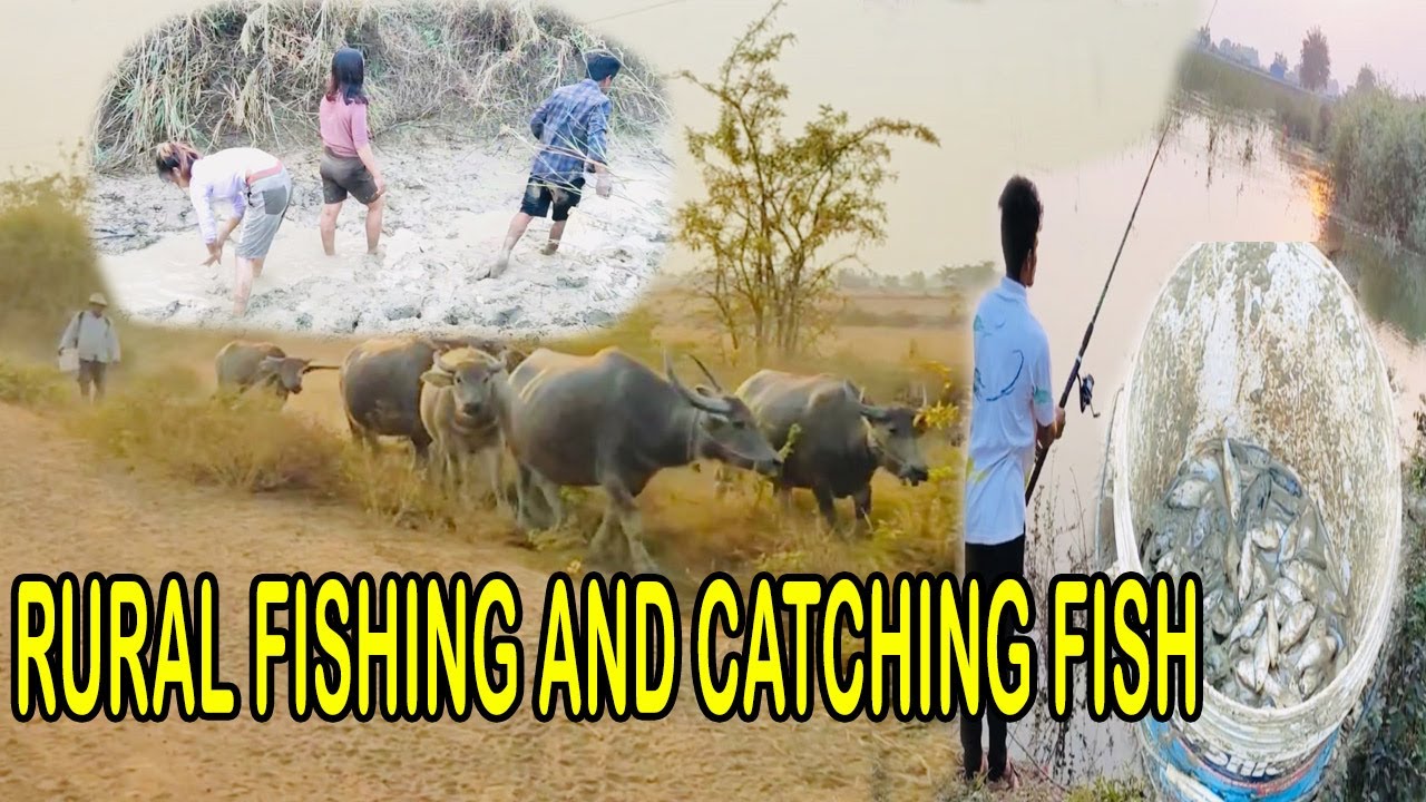 Rural fishing and catching fish - YouTube