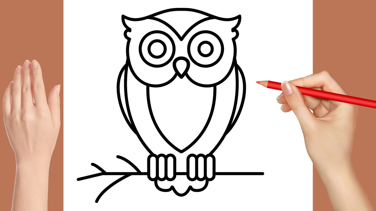 "How To Draw Easy Owl Drawing ,Owl Coloring Fun for Kids! 🦉🌈 Easy ...