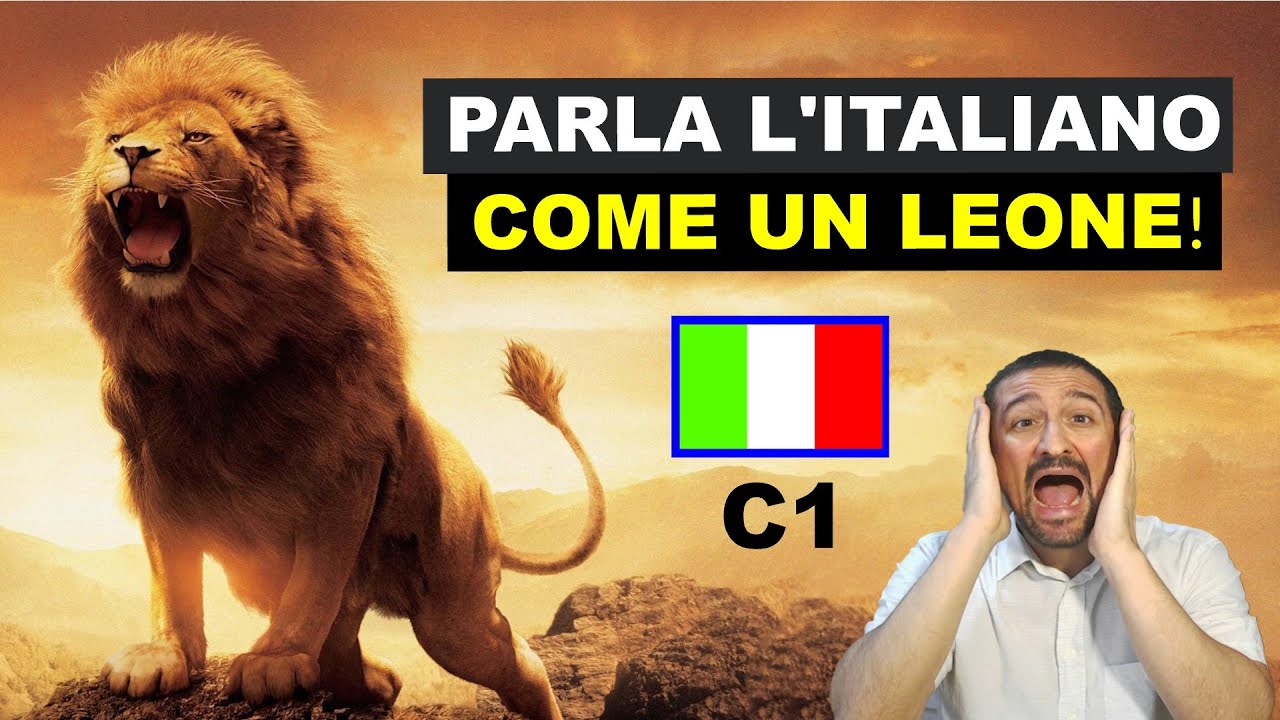 Parla l'italiano come un leone! | Impara il vocabolario italiano ...