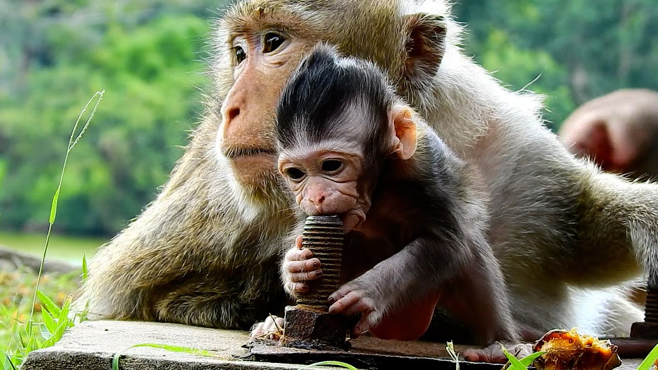 Adorable baby Tia testing her teeth - YouTube