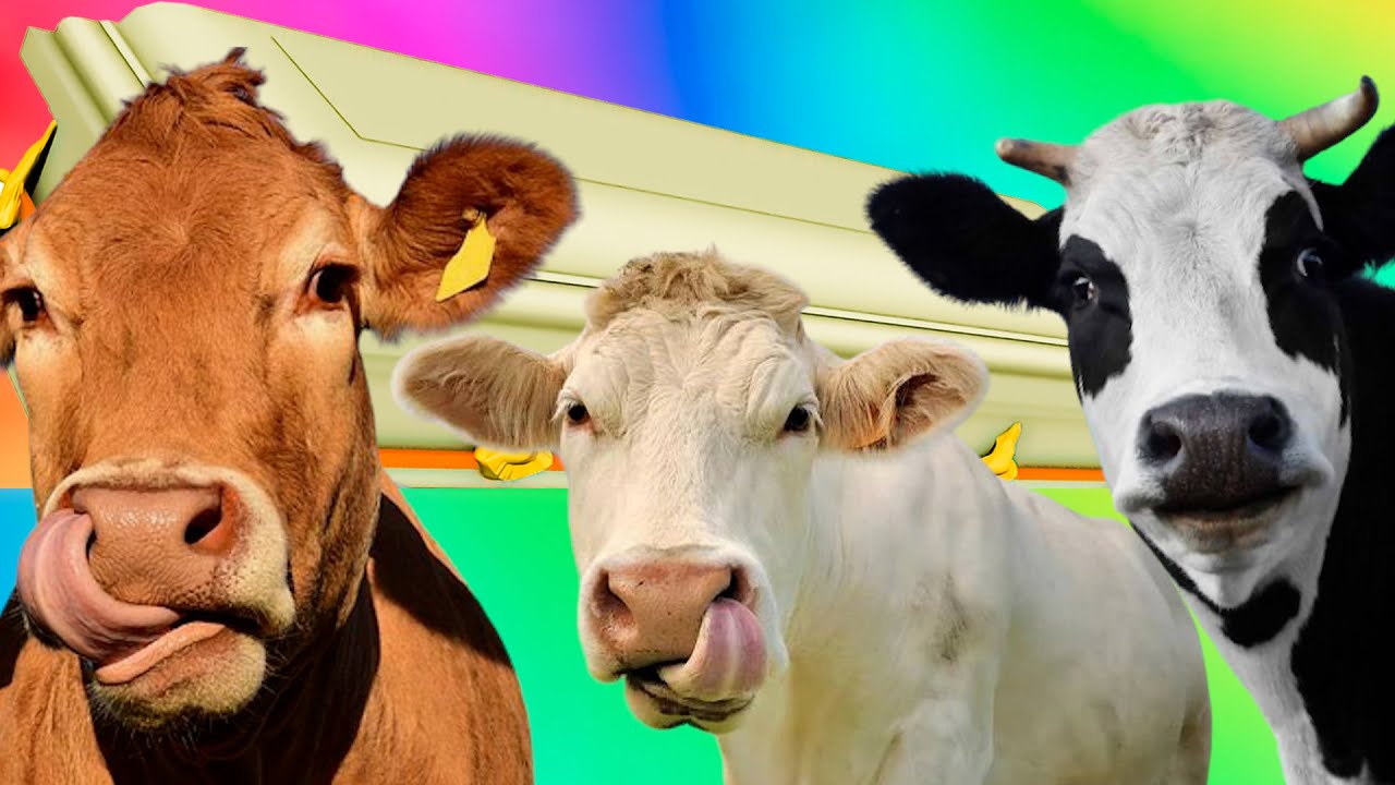 Funny Cows - Coffin Dance Song *PART 3* (COVER) - YouTube