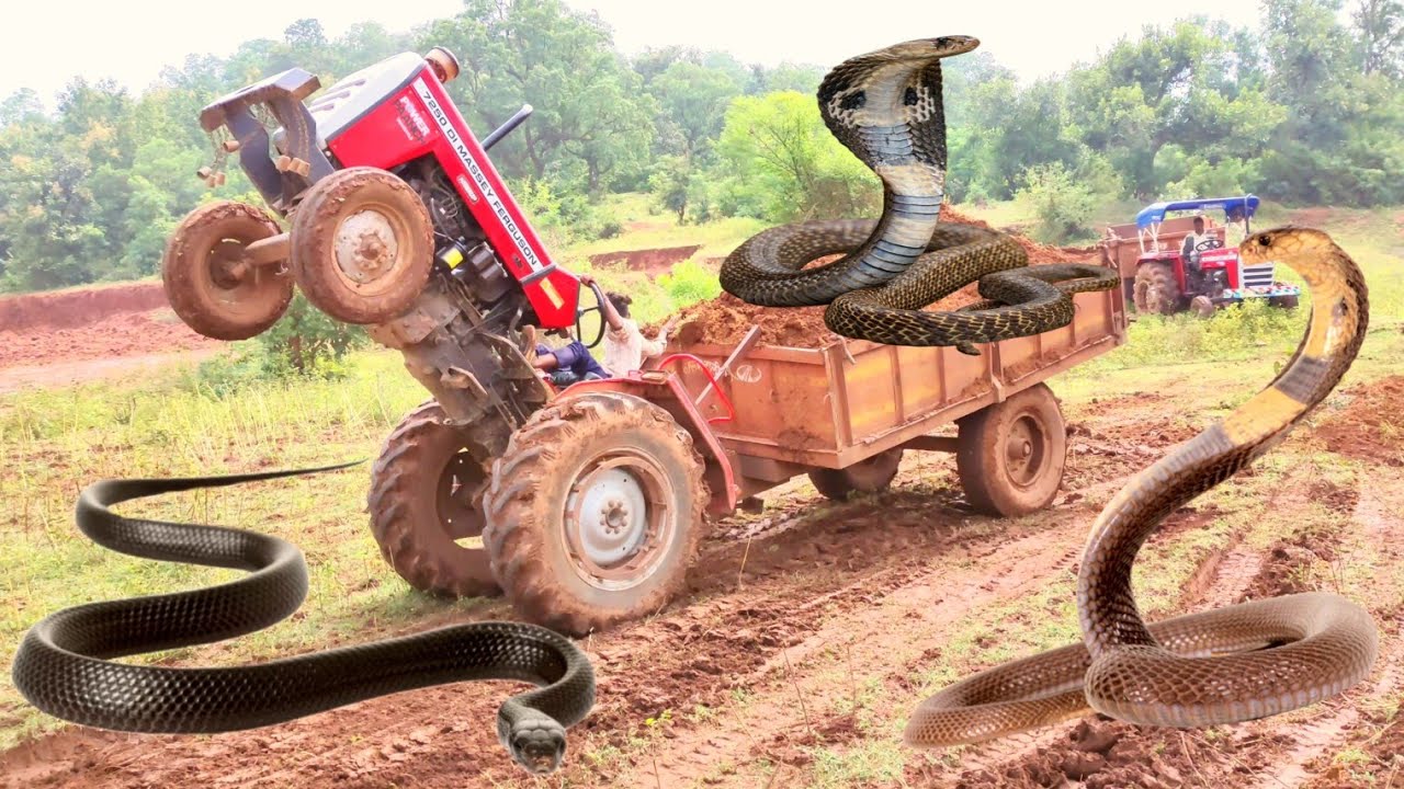 jcb Pulling Tractor - Jcb For Kids Road jcb catoon jcb gadi jcb cartoon ...