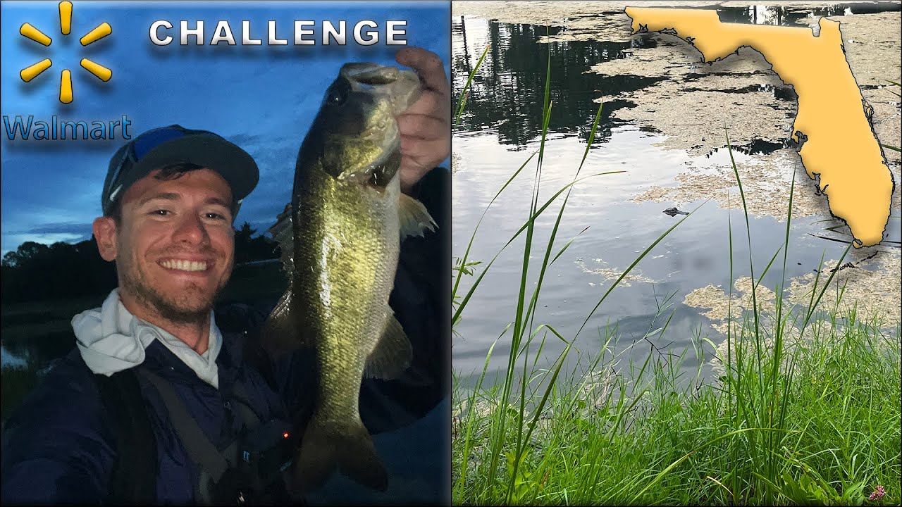 WALMART BASS FISHING CHALLENGE in FLORIDA!!! - YouTube