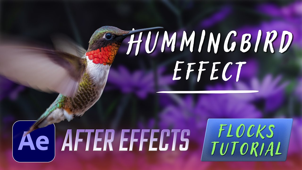 Flying Hummingbird Effect - After Effects / Flocks Tutorial - YouTube