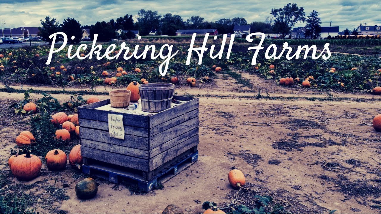 Pickering Hill Farms - YouTube