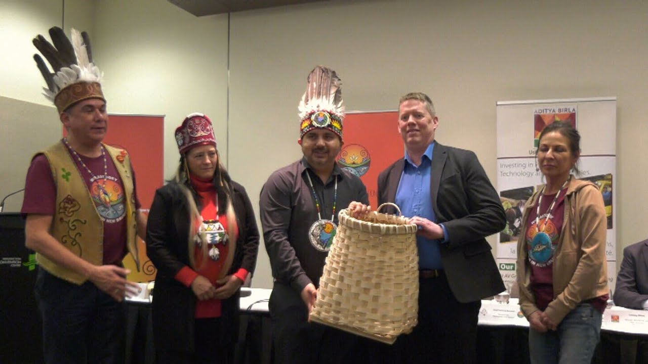 Six First Nations make huge deal with forestry company | CTV National ...