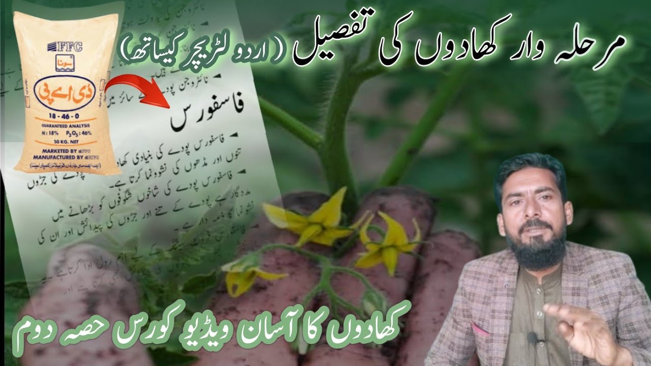 Understanding the Role of Macro and Micronutrients in Plants: A Step-by ...