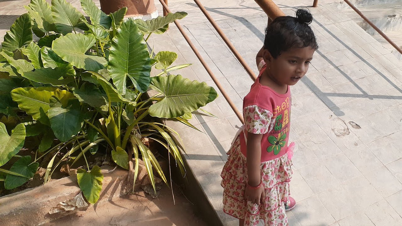 little baby singer Teja sri - YouTube