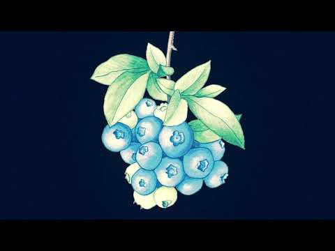lil mosey - blueberry faygo (slowed to perfection+reverb)