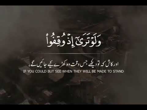 surah al anam 29-30