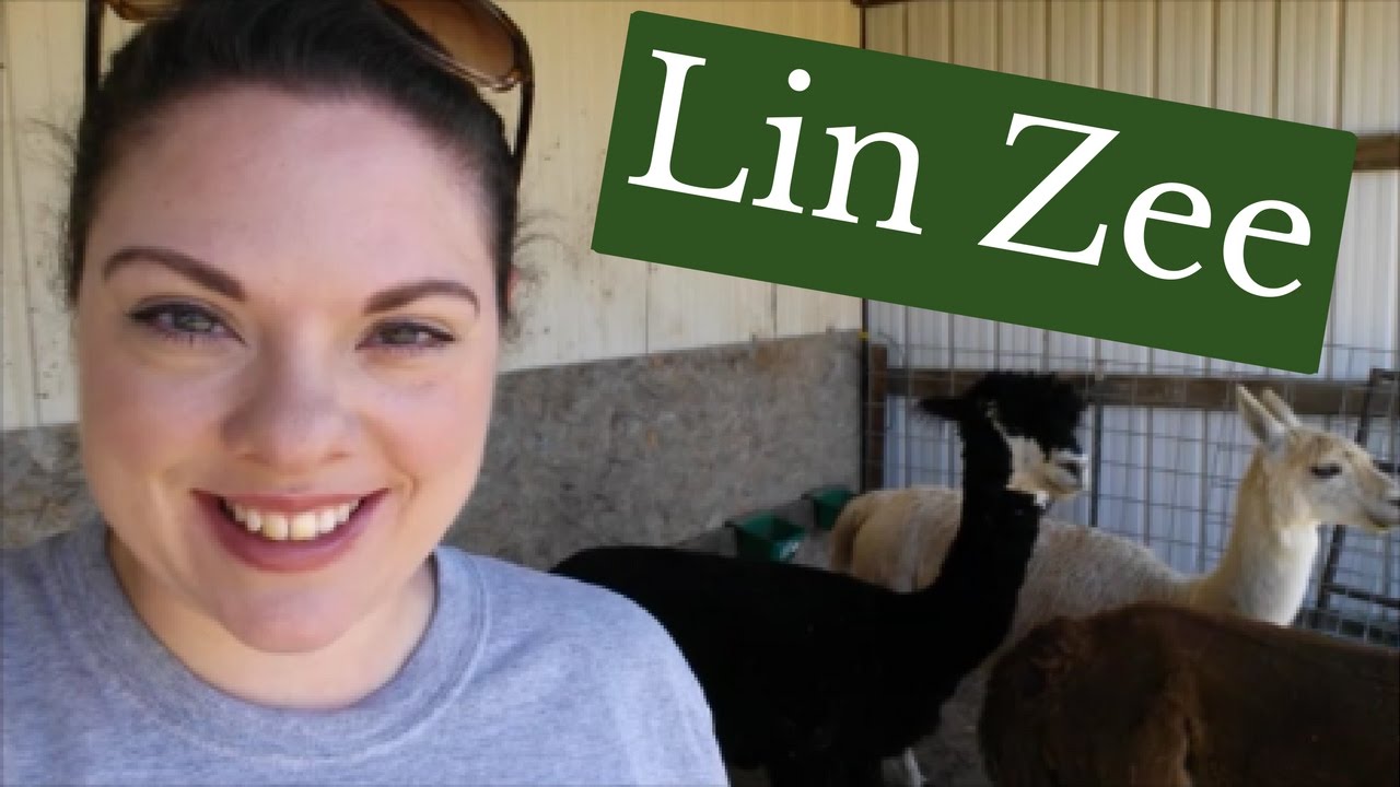 Paca Tuesday - Lin Zee - YouTube