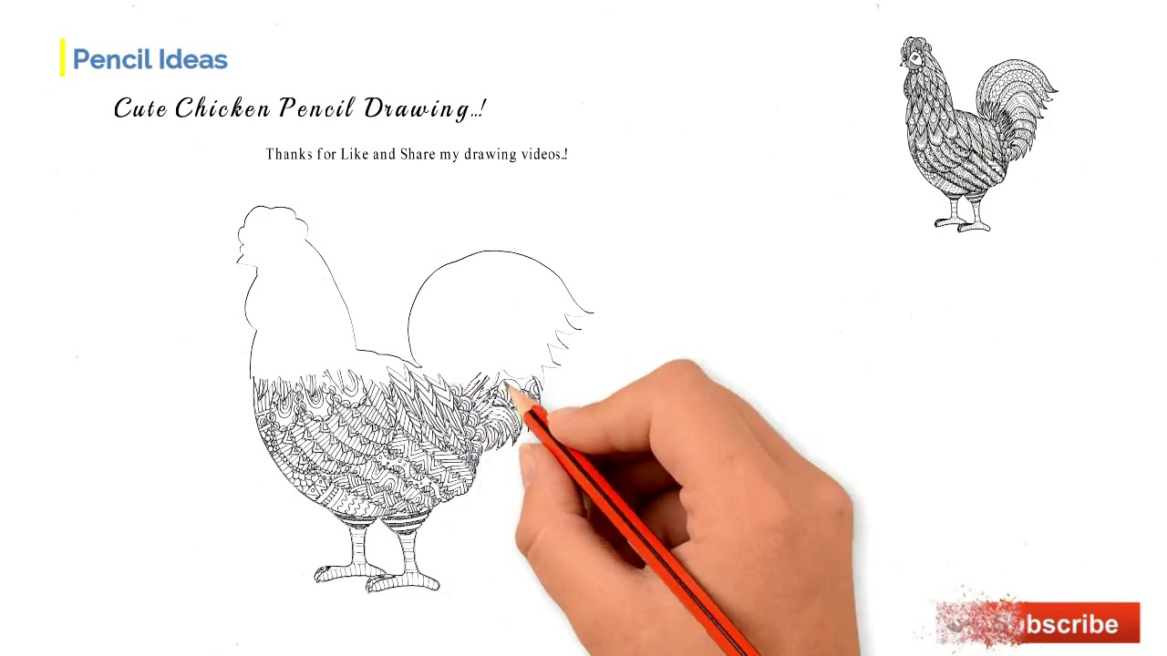 Chicken Hand drawing | Too Cute | Pencil Drawing - YouTube