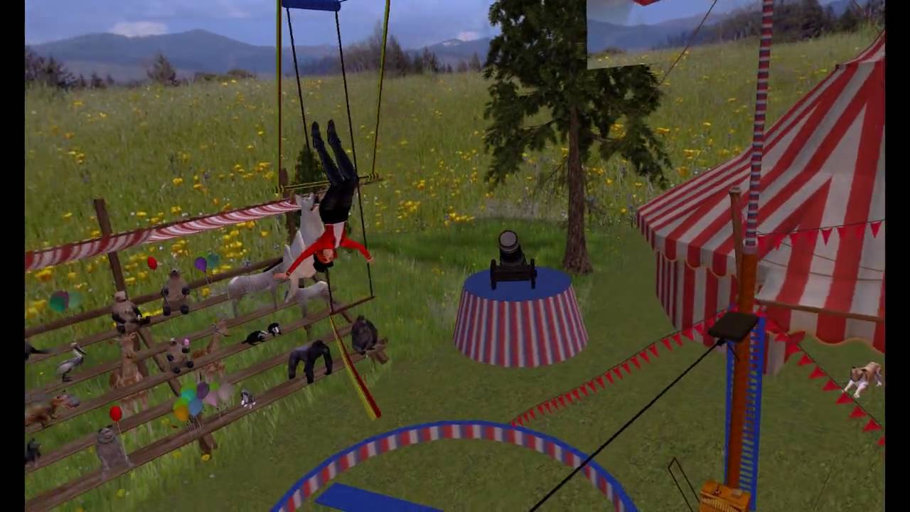 Circus Dog Tricks - YouTube