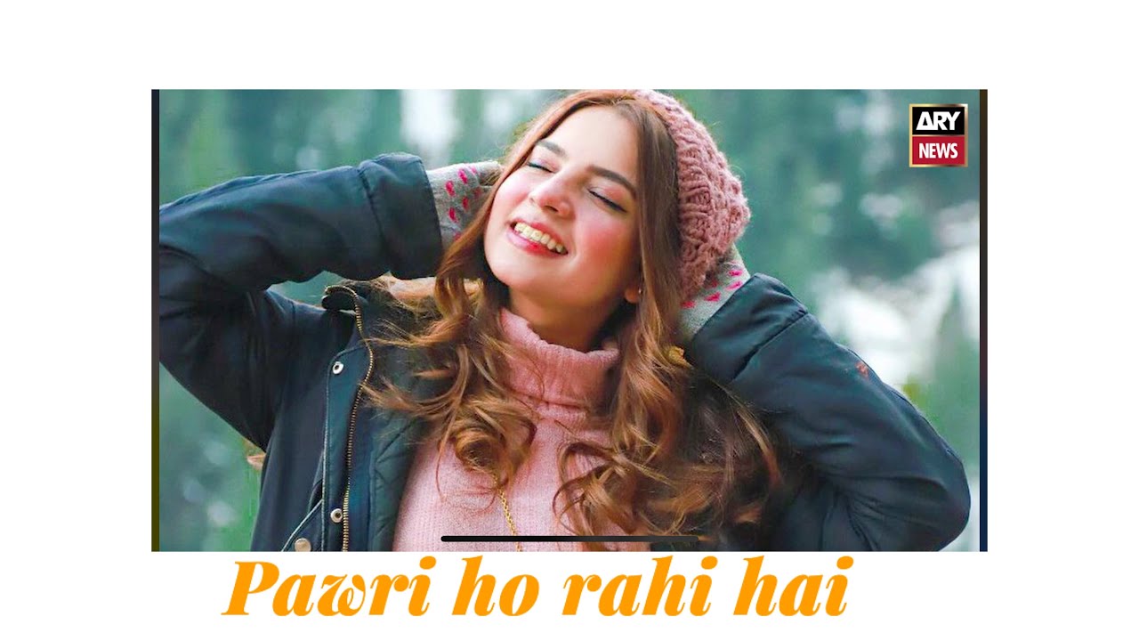 Pawri ho rahi hai girl first interview with Ary| Dananeer mobeen|Party ...