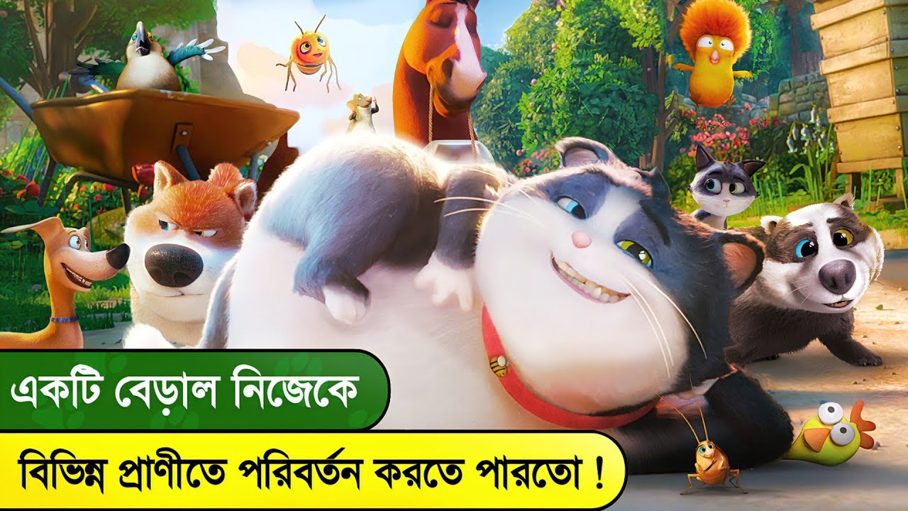 10 Lives: The Animated Movie EXPLAINED! - YouTube