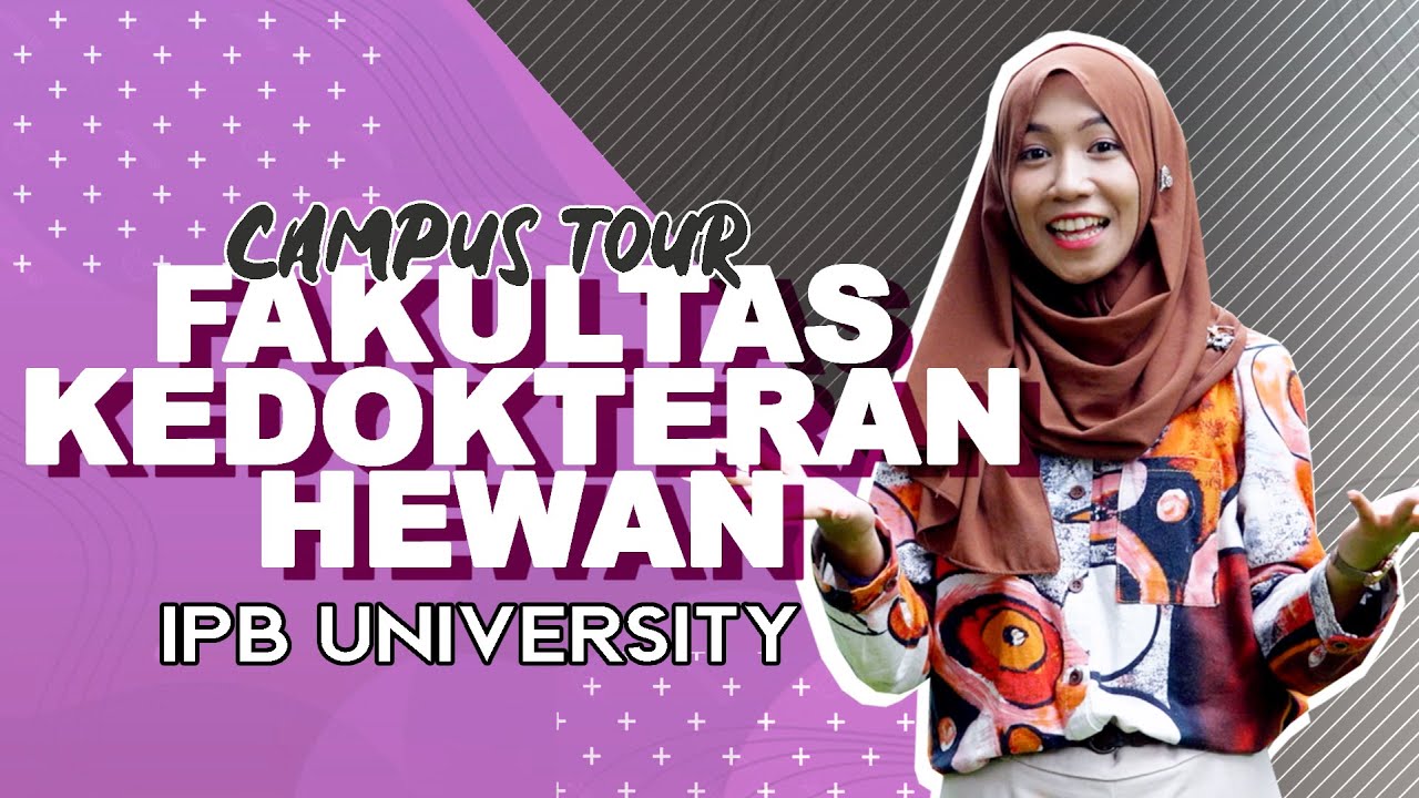 Bedah Fakultas Kedokteran Hewan IPB University - YouTube