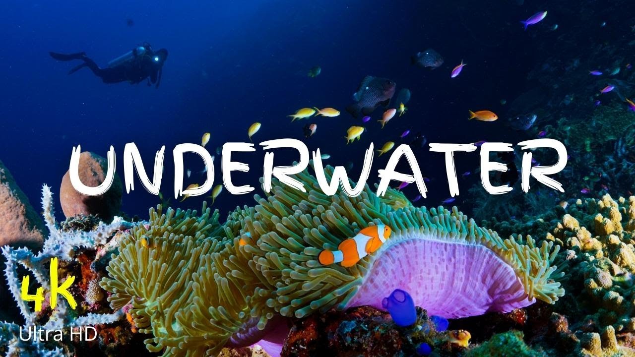 Underwater Ambience, Deep Relaxing Music, Sleeping Music, Meditation ...