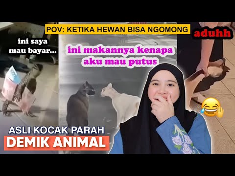 KETIKA HEWAN BISA NGOMONG! ASLI KOCAK PARAH DEMIK ANIMAL | 🇲🇾REACTION