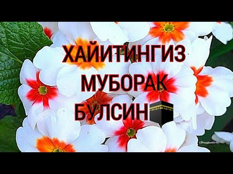 КУРБОН ХАЙИТИНГИЗ МУБОРАК/HAYIT MUBORAK🕋🌹🕋