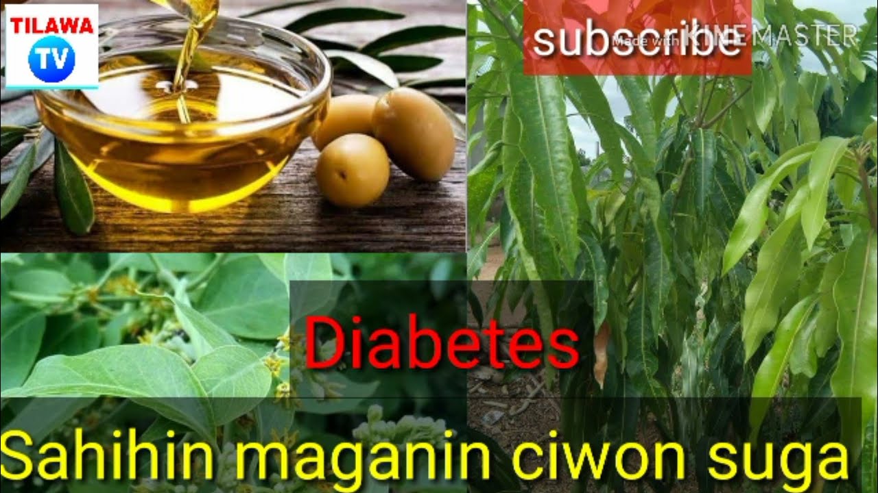 Sahihin maganin ciwon Suga (Diabetes) fisabilillahi - YouTube