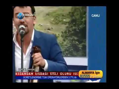 HAYATİ DAŞTAN+++++++++POTPORİ
