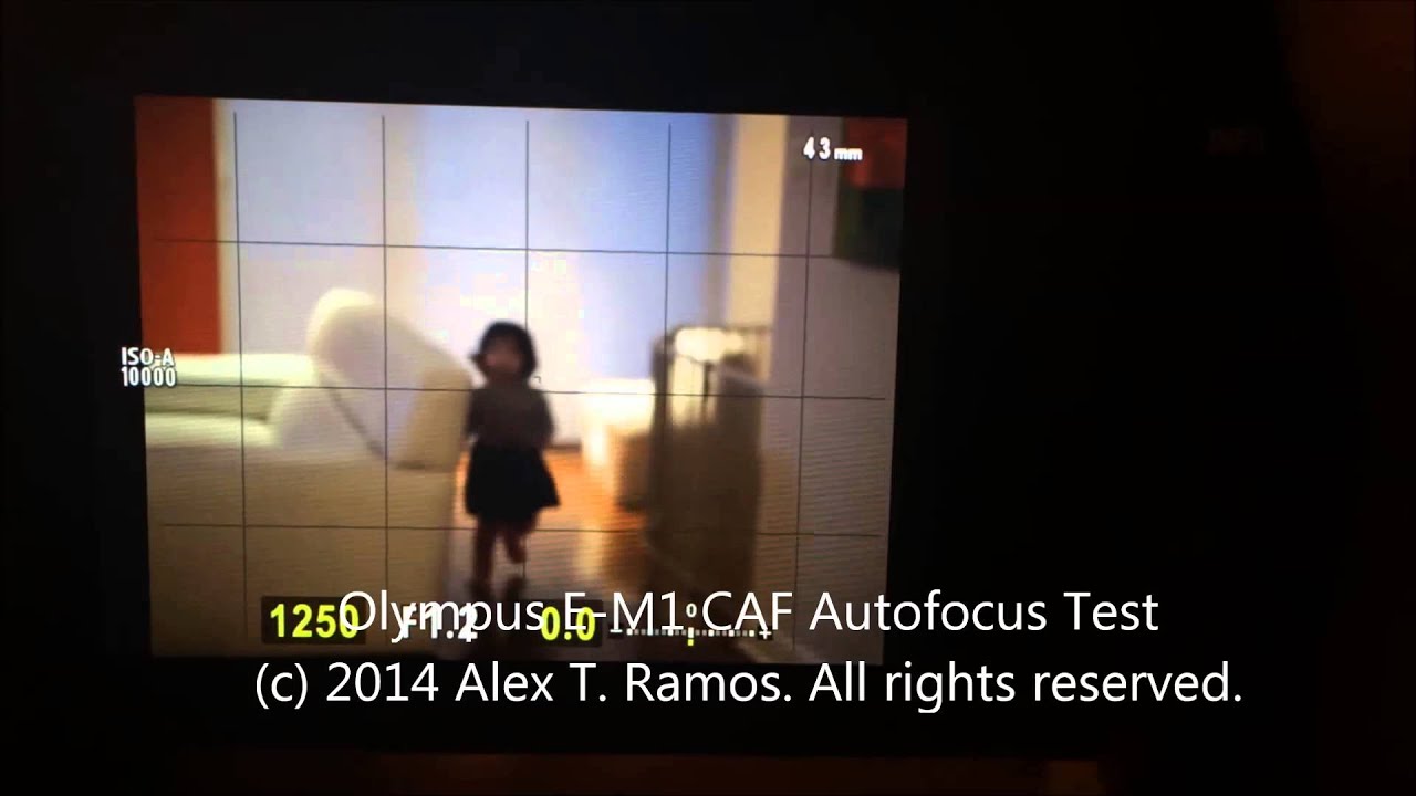 Olympus E-M1 Low-Light Continuous AF Tracking Test - PDAF with native ...