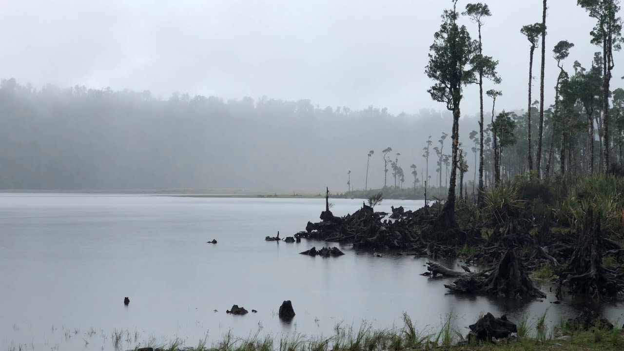Gentle Rain at Misty Lake for 10 Hours for Relaxing, Sleeping, Studying ...