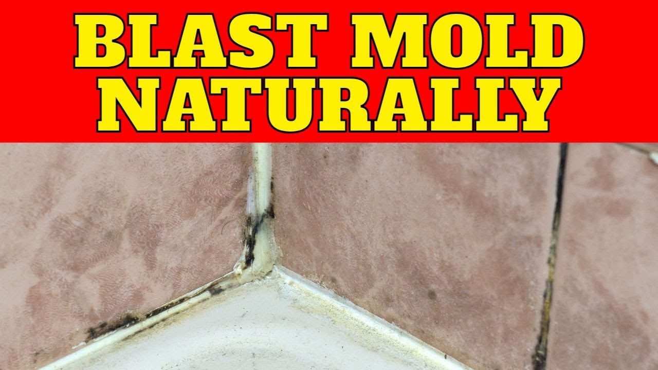 Peroxide + Tea Tree Oil = Mold-Free Home! - YouTube