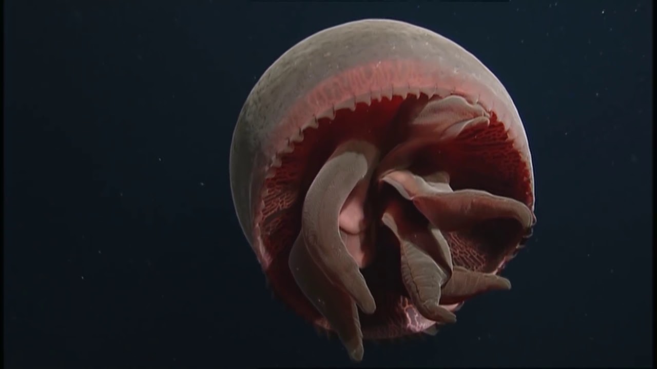 Remulak & Robohands - Life (Official Video) - YouTube