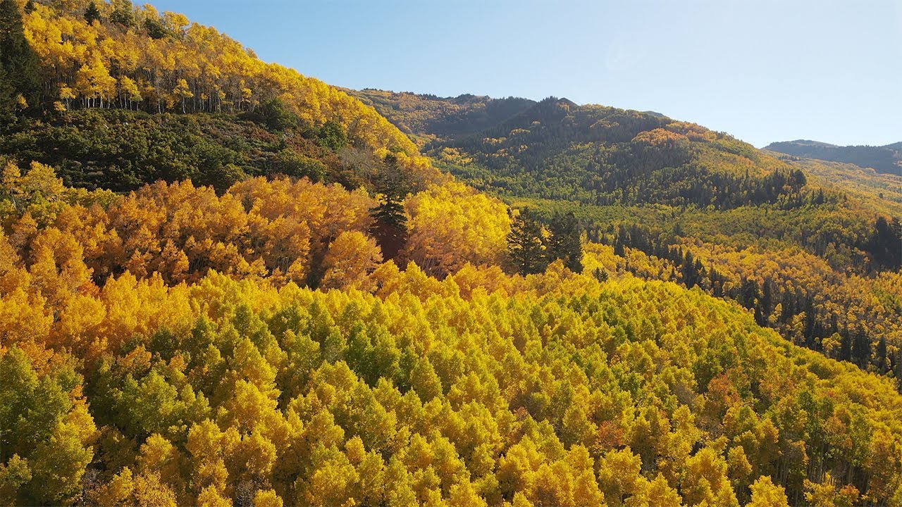 Relaxing Utah Wasatch Fall Colors 2022 - YouTube