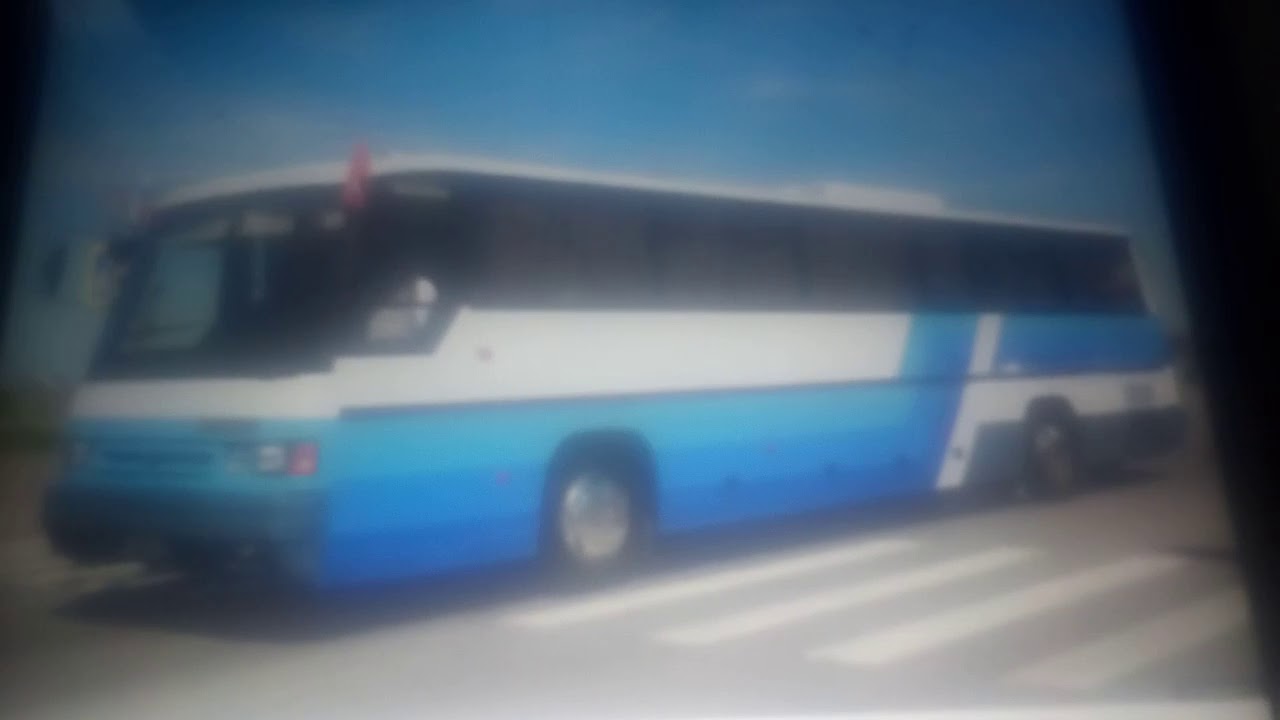 Ikarus 253 - YouTube