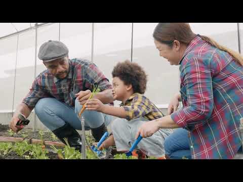 Ayus Missionstatement