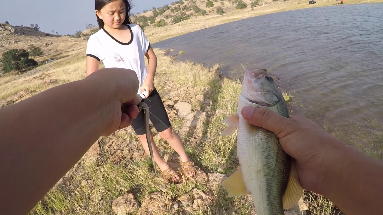 Bass Fishing with Drop Shot + Roboworm - YouTube