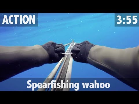 Spearfishing Wahoo in Niue in HD - ULTIMATE FISHING TV - YouTube