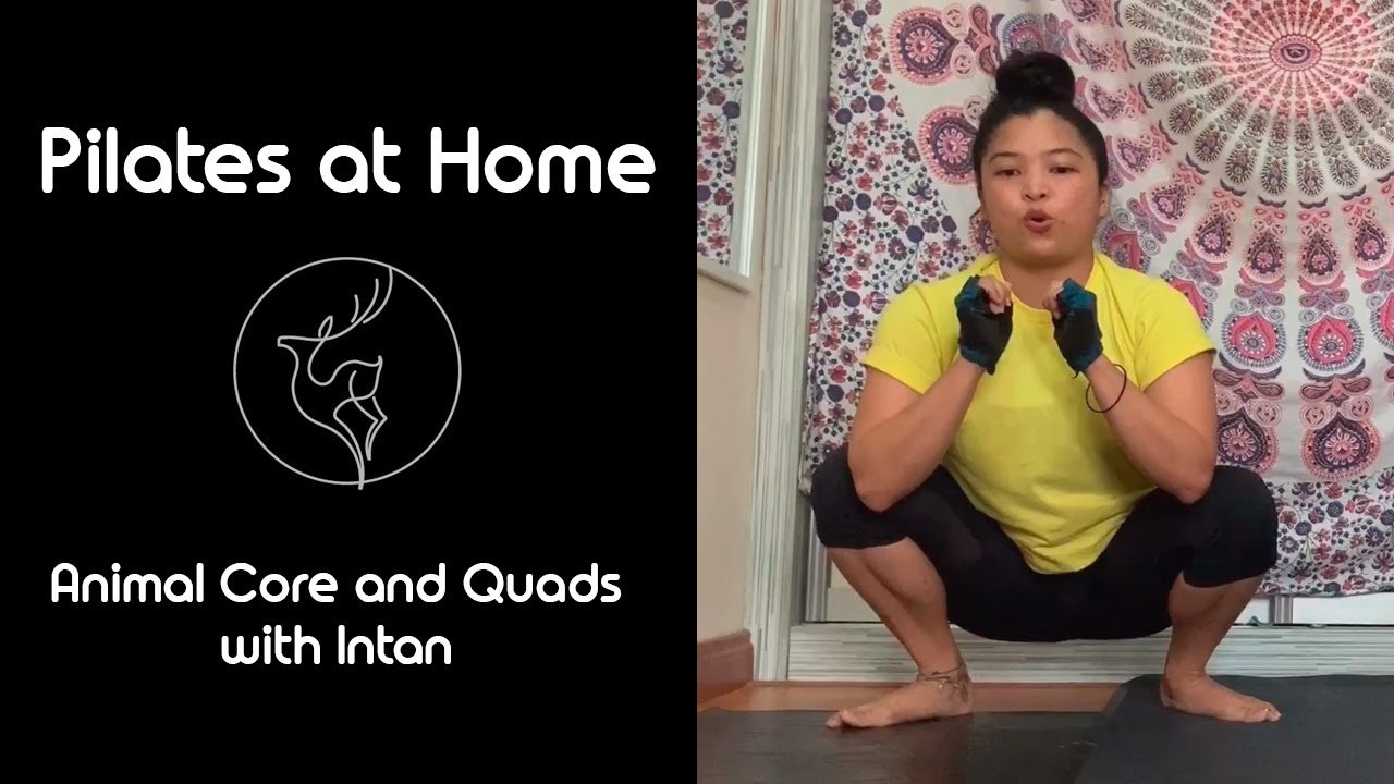 Pilates at Home 35 - Animal Core and Quads with Intan - YouTube